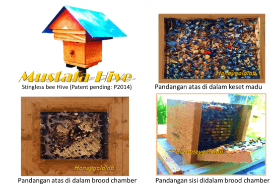 MUSTAFA-hive – Brainey